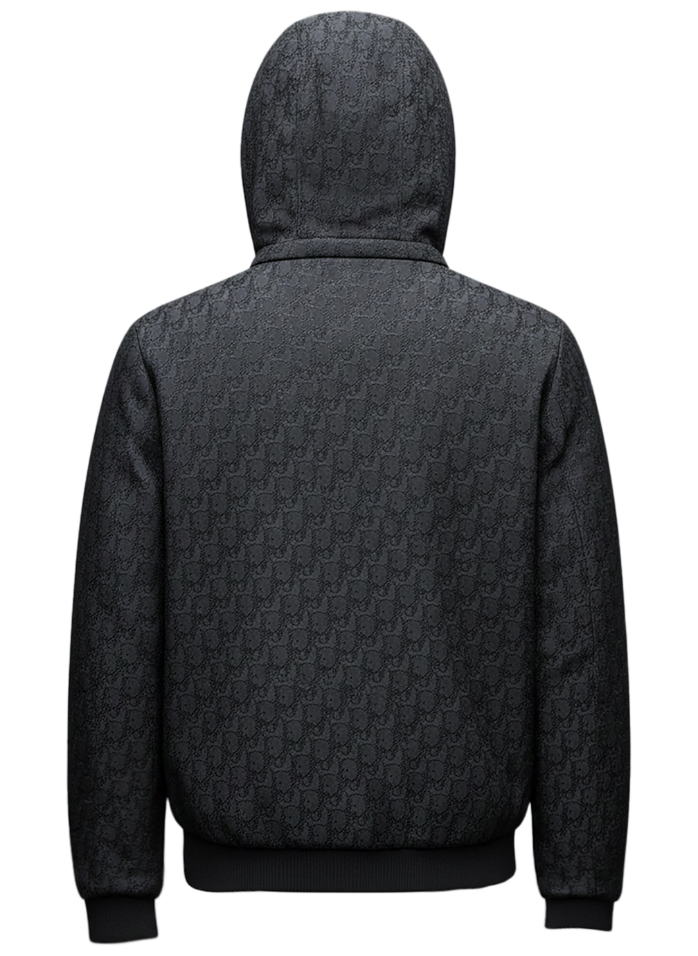 Dior Mastercopy Hooded Jacket